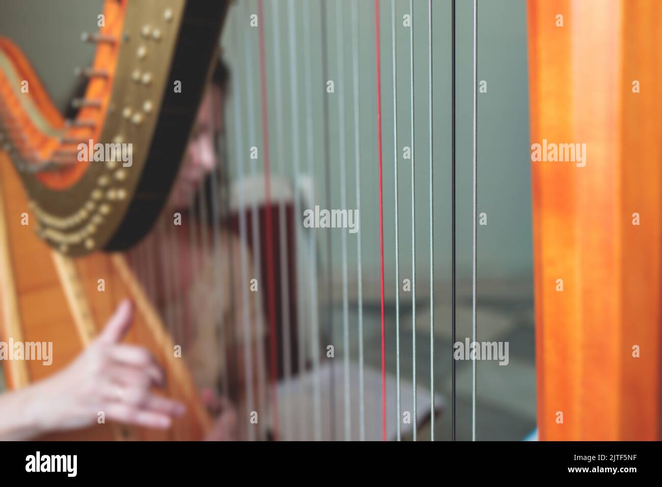 Female musician harpist playing wooden harp during symphonic concert on ...
