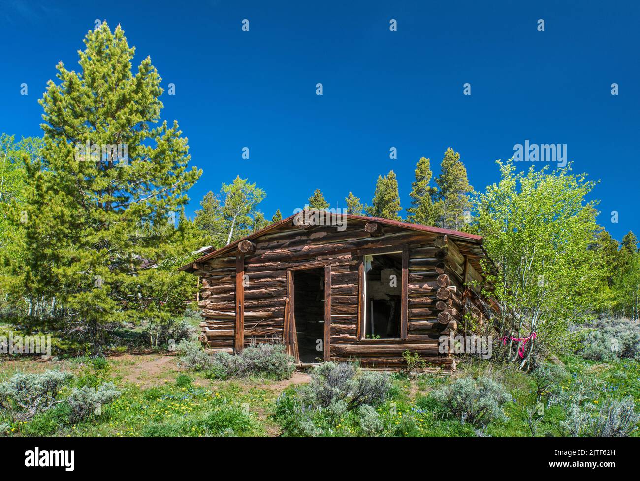 West hamilton historical hi-res stock photography and images - Alamy