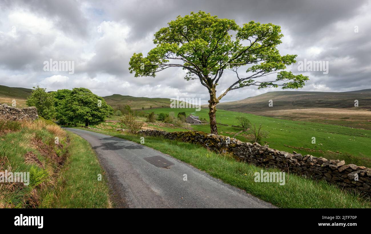 Looking up Fell Road towards Crag Hill and Bullpot Farm from Casterton ...