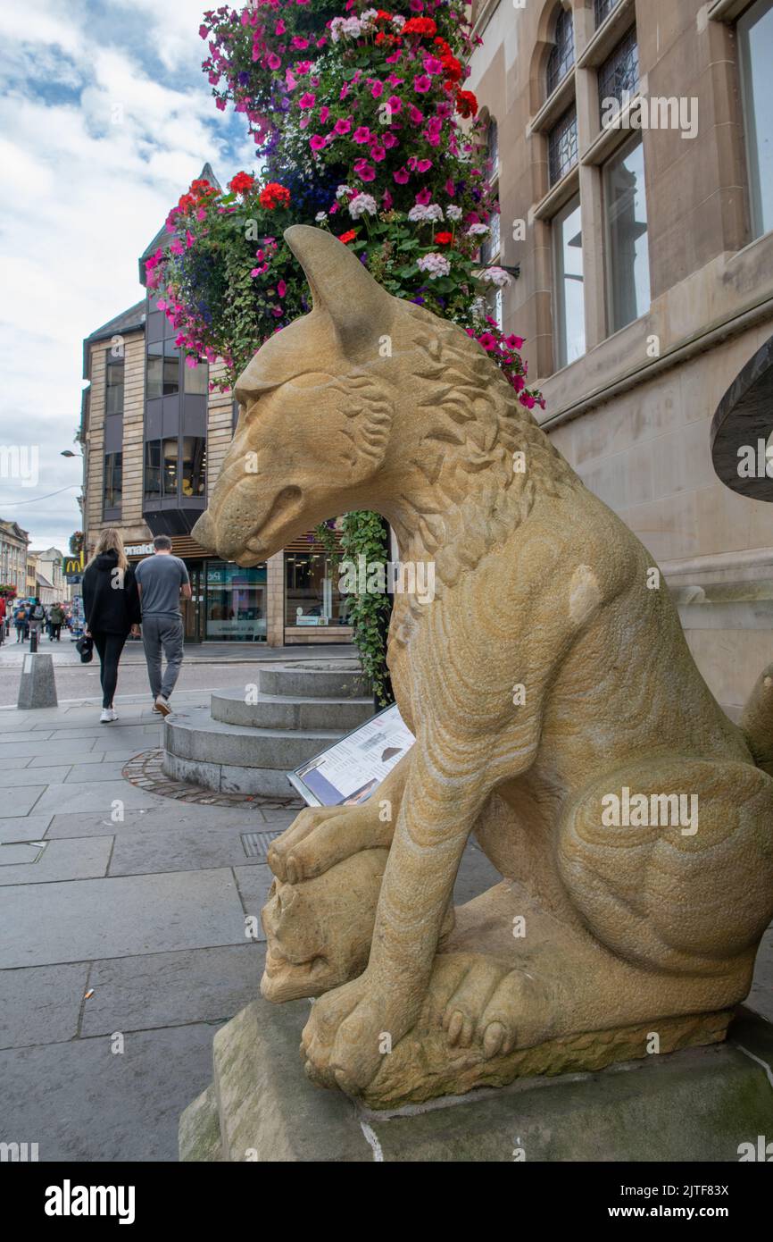 Wolf at the Door, Inverness Town House, Scotland, UK Stock Photo - Alamy