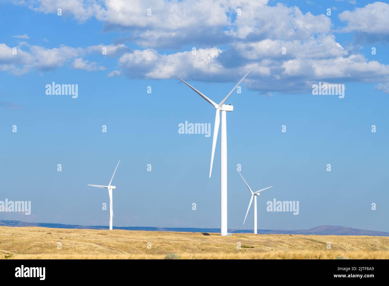 Wind turbines on an arid hillside in Washington State under a blue sky ...