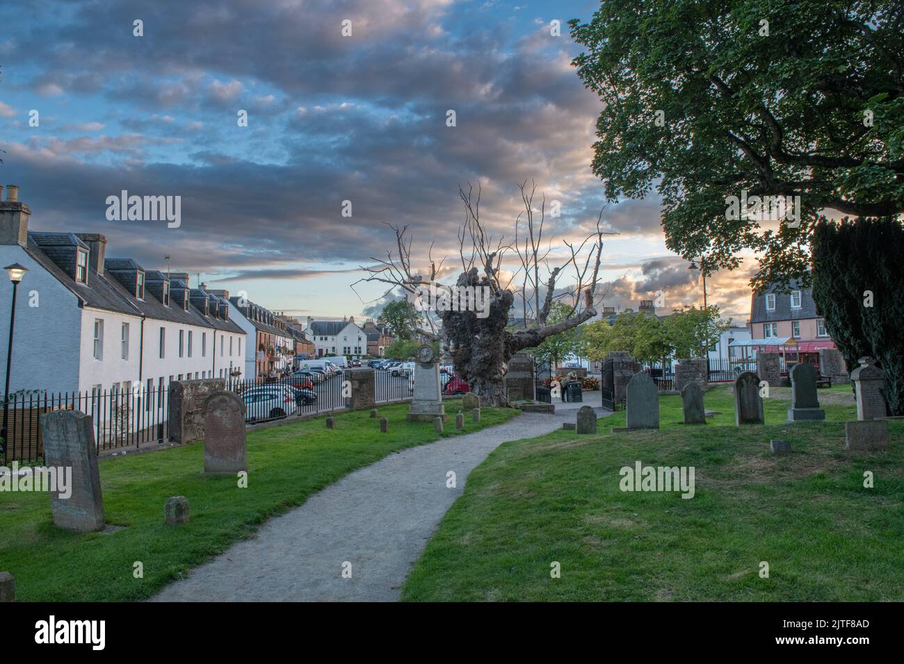 Beauly elm hi-res stock photography and images - Alamy