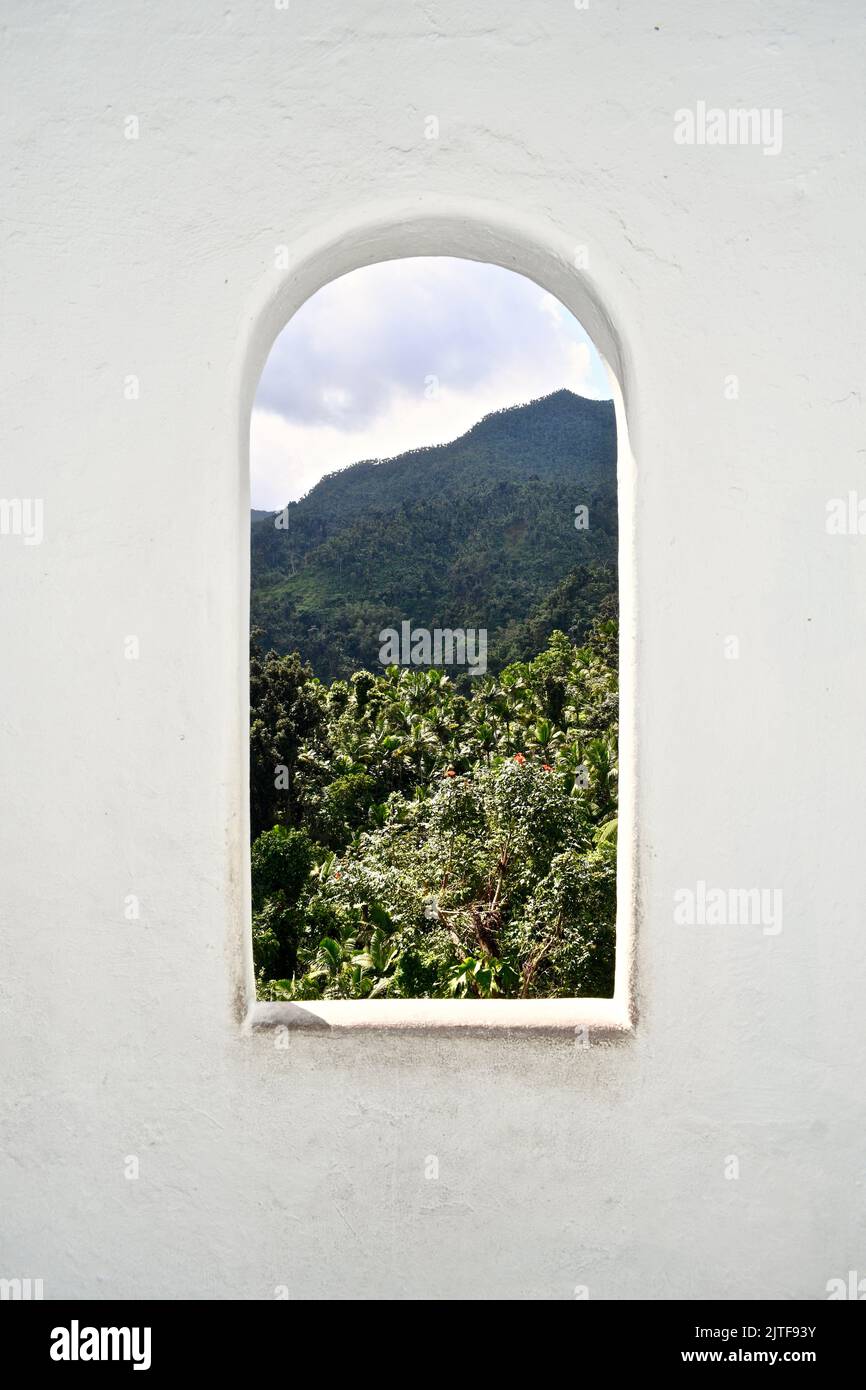 Rainforest out the window hi-res stock photography and images - Alamy