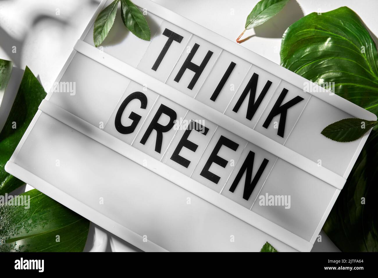 light box with go green words and leaves Stock Photo - Alamy
