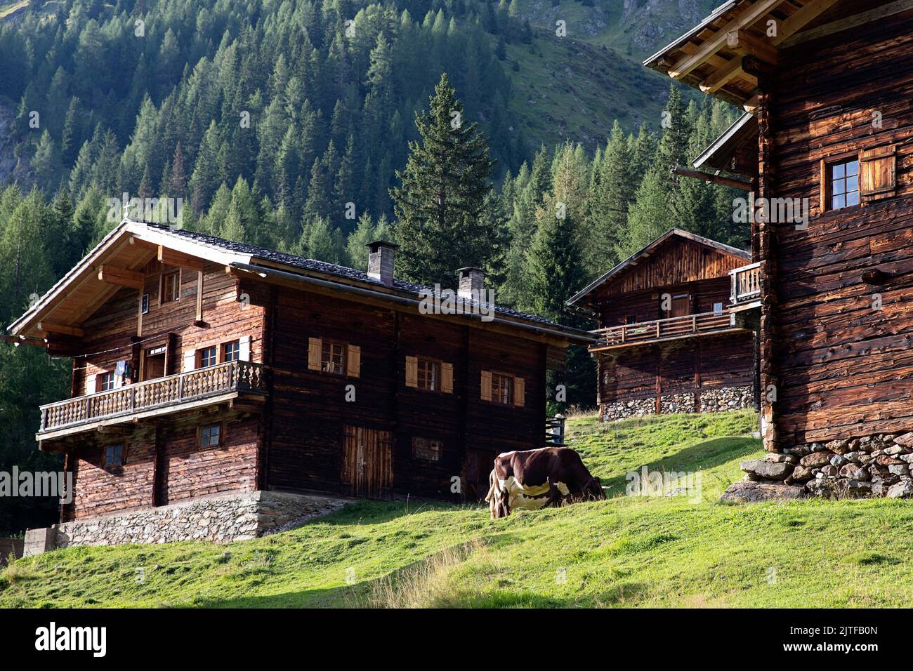 Wooden cottages in a alpine village of Oberstalleralm in ...