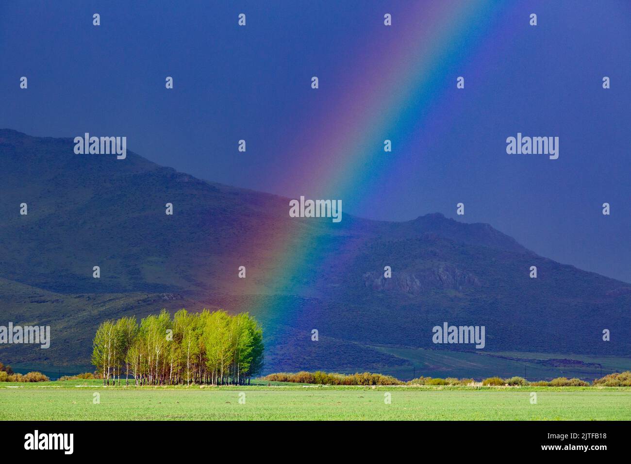 United States, Idaho, Bellevue, Rainbow in rural area Stock Photo - Alamy