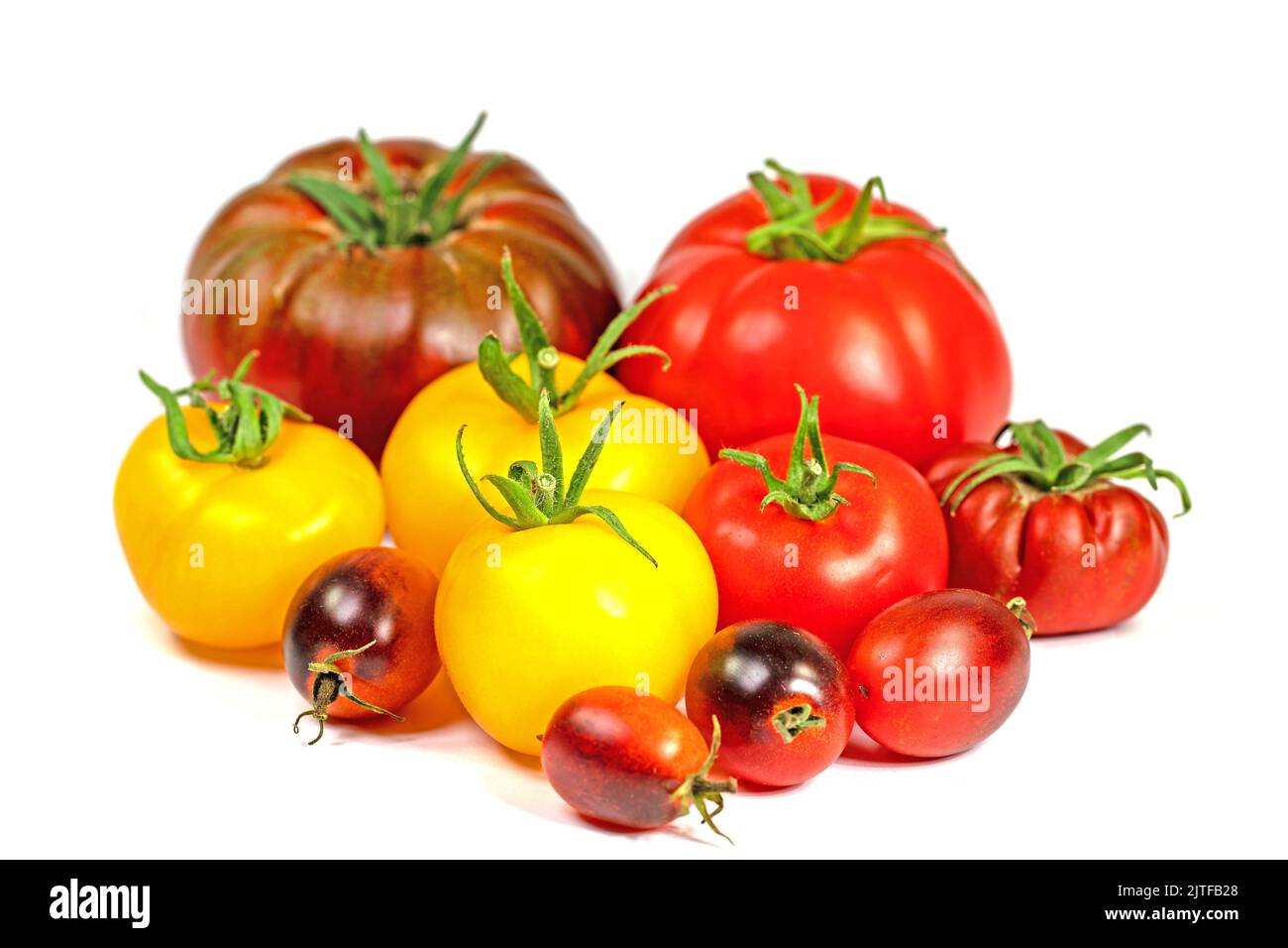 Red and yellow tomatoes in front of white background Stock Photo - Alamy