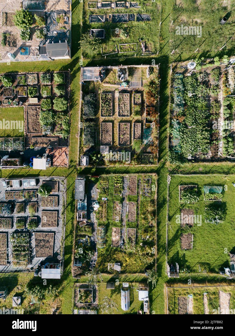 Aerial view of an allotment hi-res stock photography and images - Alamy
