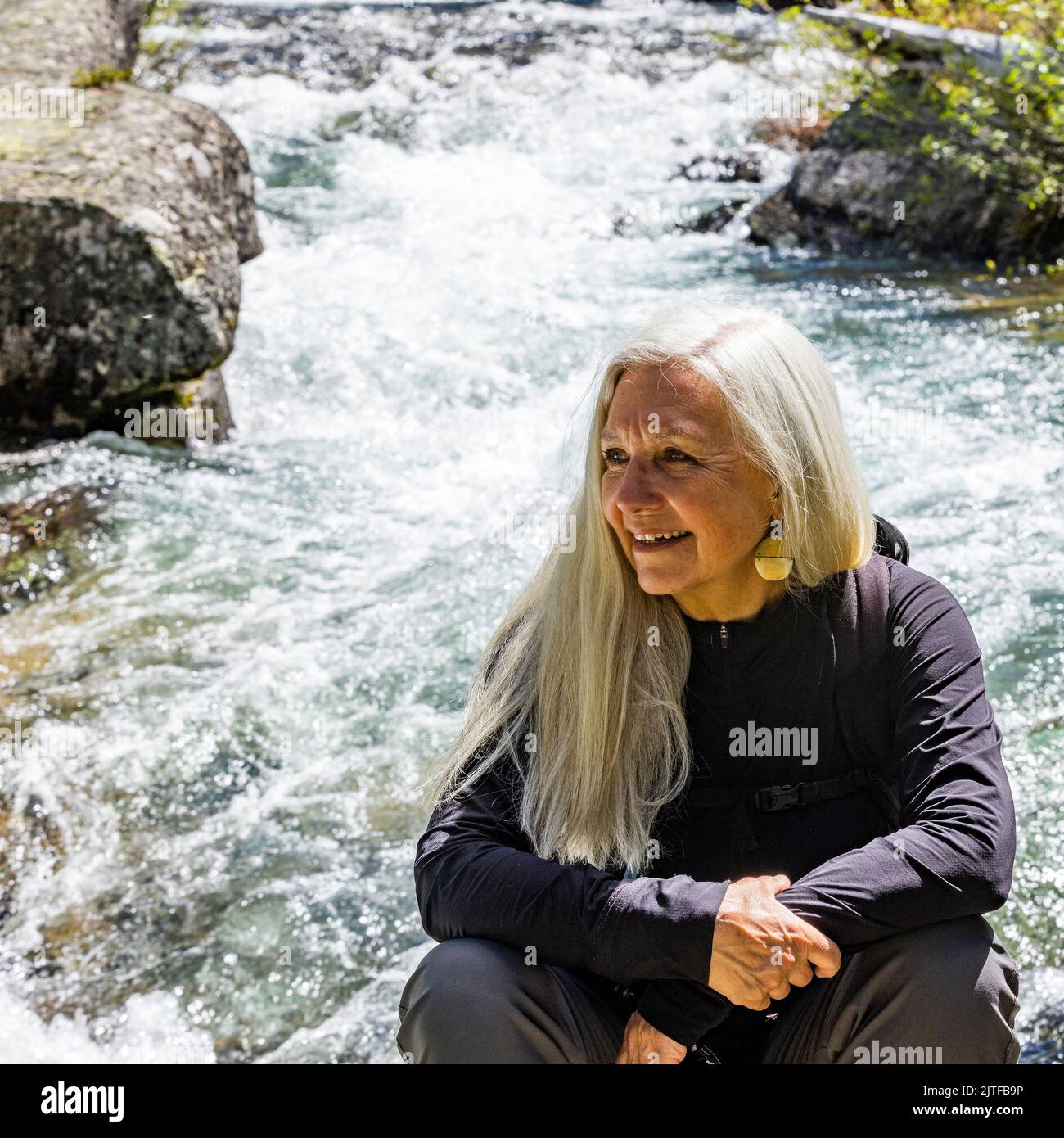 Rushing stream forest sun hi-res stock photography and images - Alamy