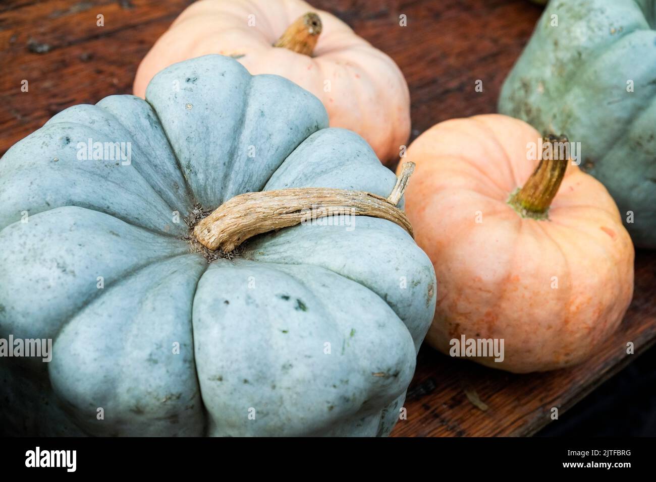 Squashes at farmers market Stock Photo - Alamy