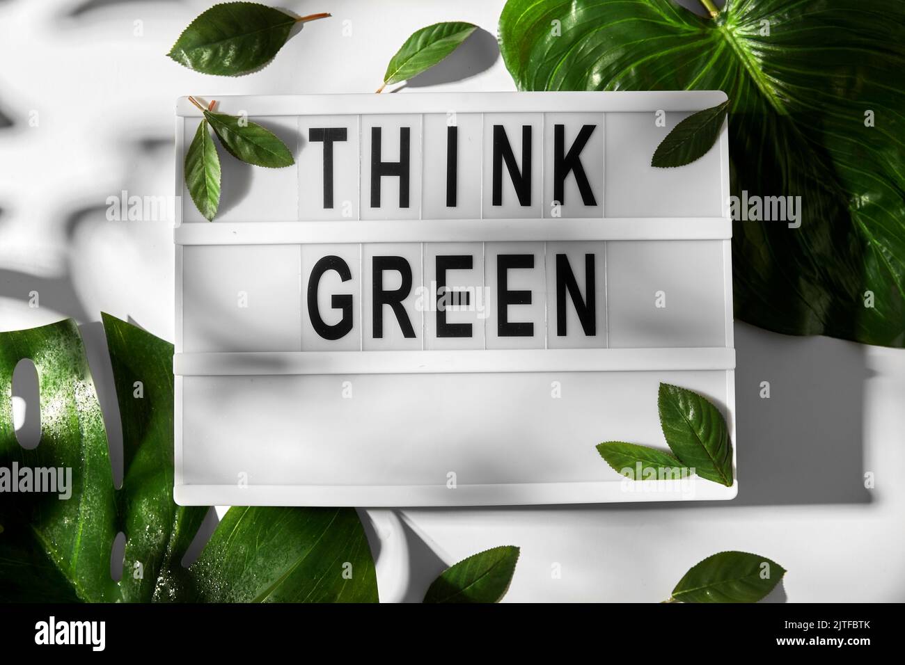 light box with go green words and leaves Stock Photo - Alamy