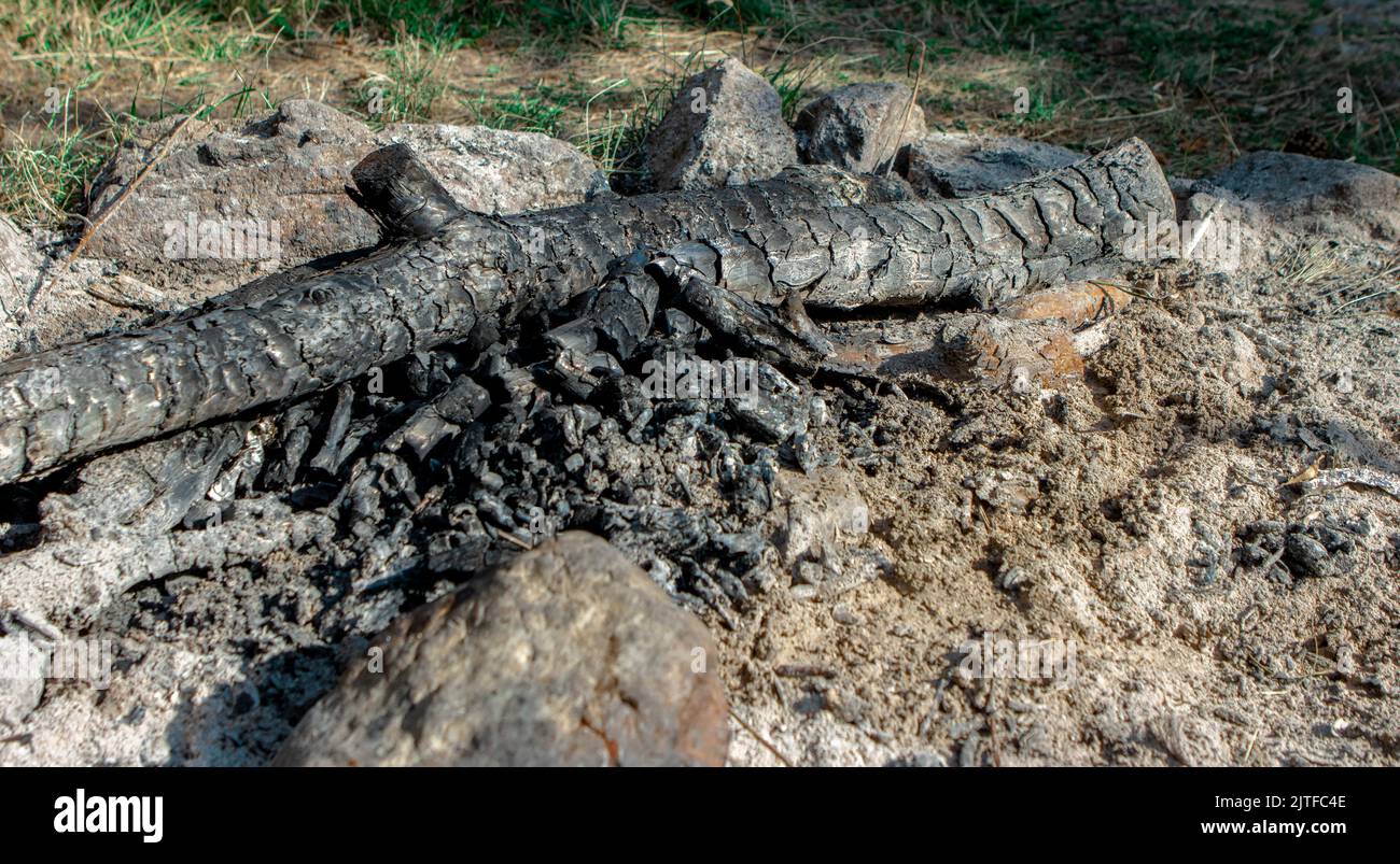 Burnt wood remains, Coal surface Stock Photo - Alamy