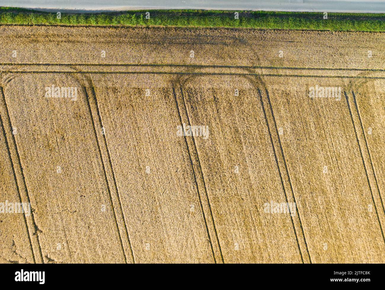 Aerial view of agricultural fields growing wheat crops ready for ...