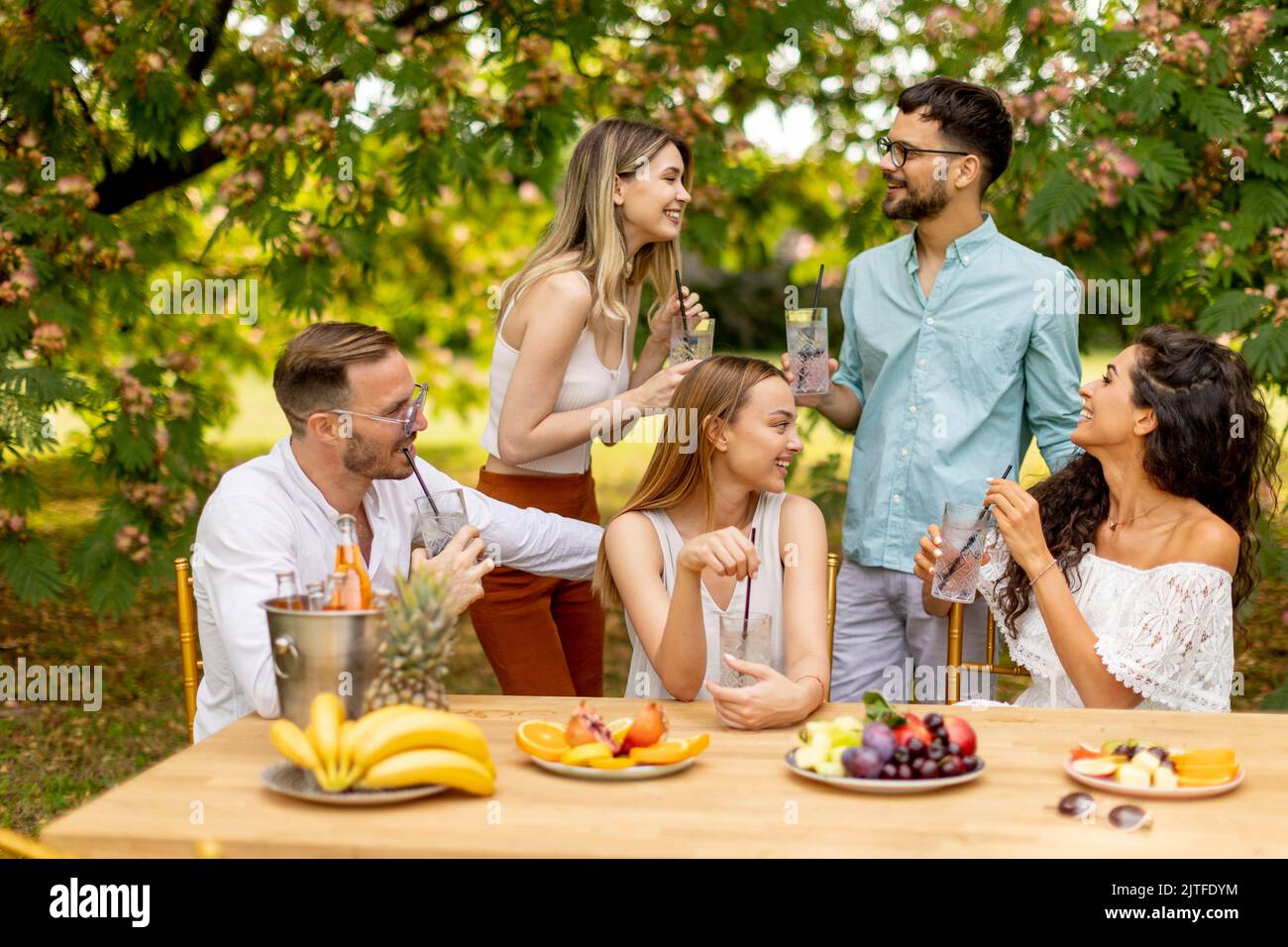 Group of young people cheering with fresh lemonade and eating fruits in ...
