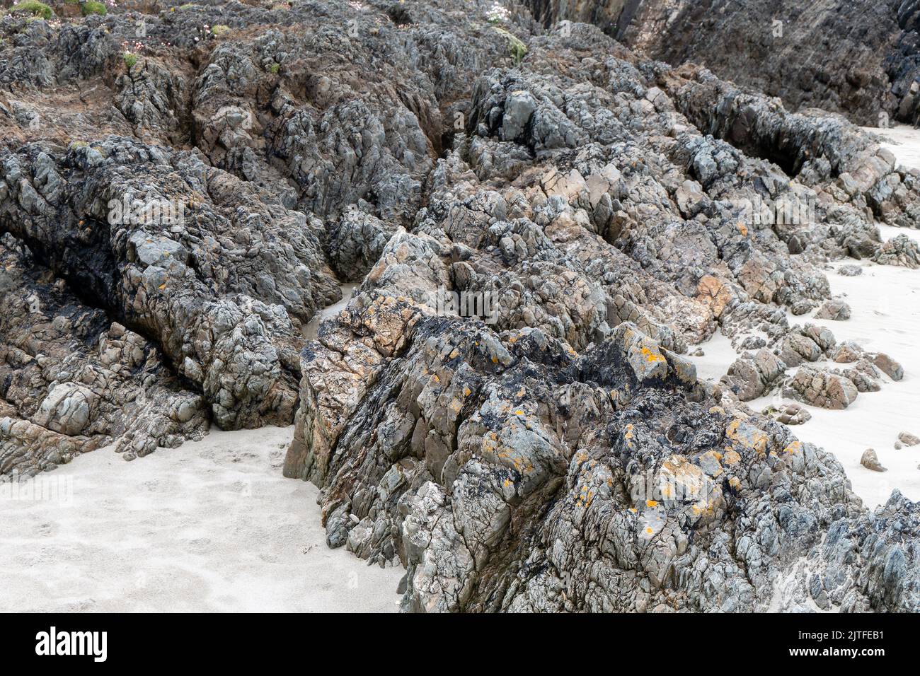 Exposed rock protrudes over sandy soil. Beautiful rocks Stock Photo - Alamy