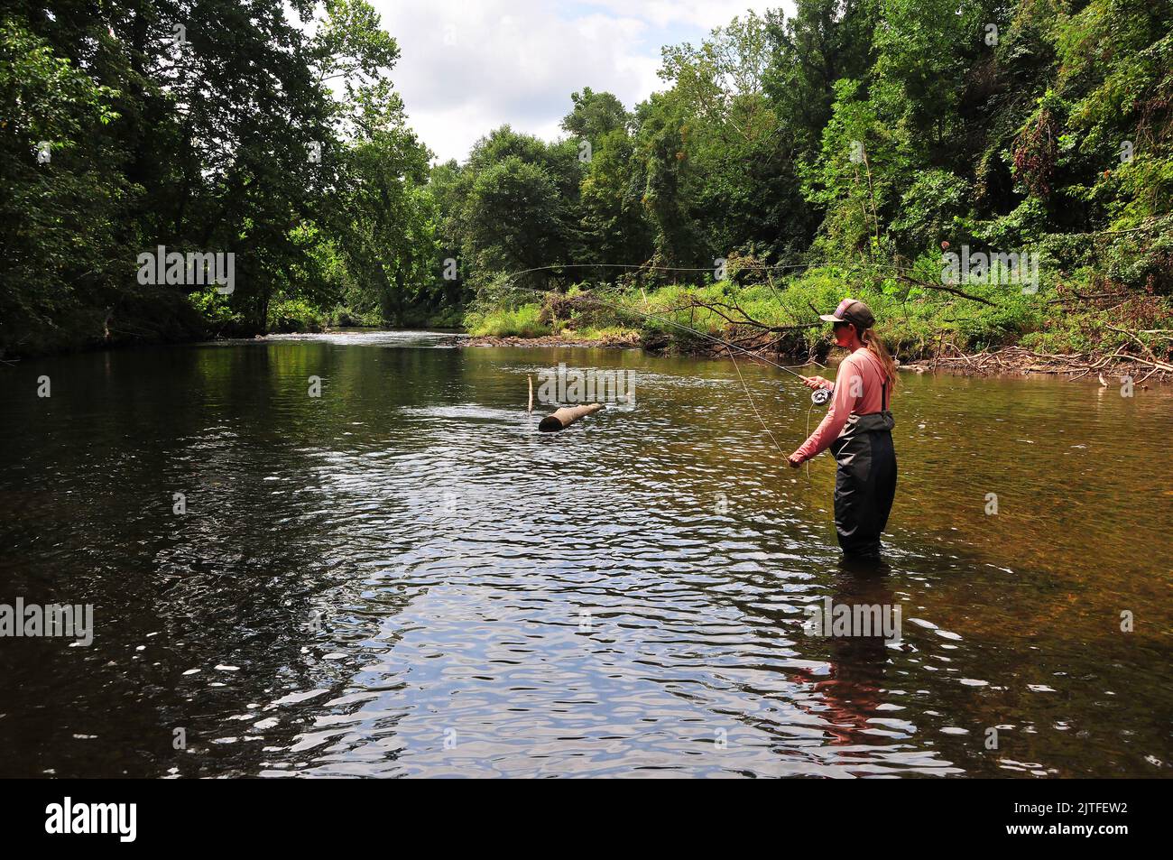 A trout angler works a quiet pool off a quiet river in North Carolina's ...