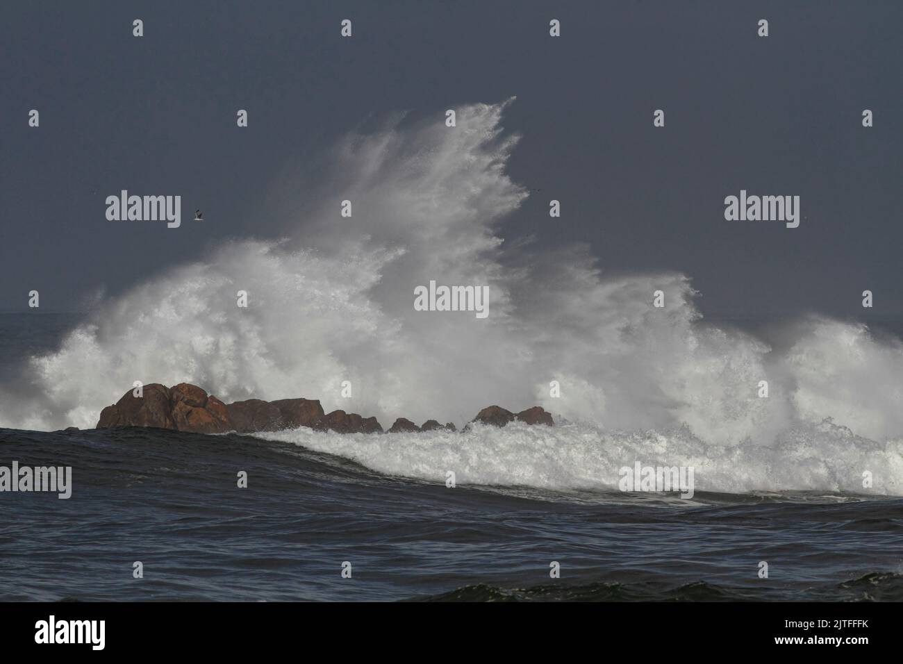Big stormy sea wave splash. Northern portuguese rocky coast Stock Photo ...