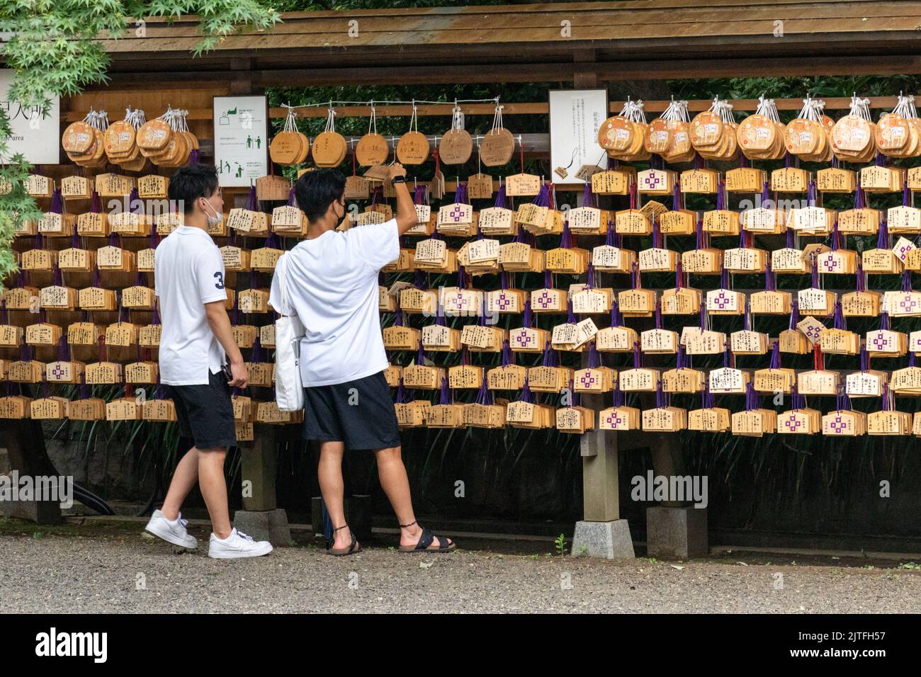 Young Japanese men reads Ema prayer plaques at the Nogi-jinja Shrine ...