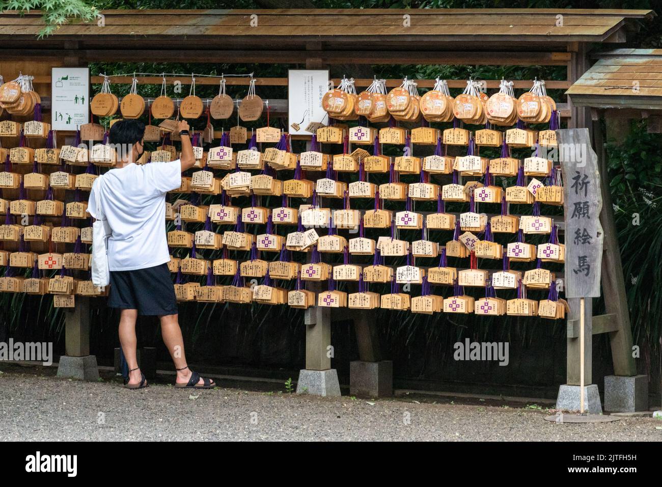 A young Japanese man reads Ema prayer plaques at the Nogi-jinja Shrine ...