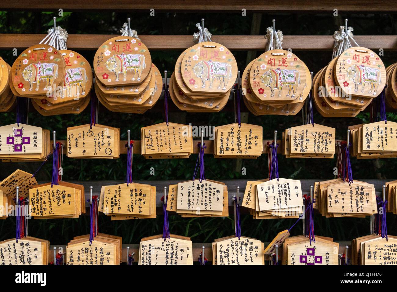 Ema prayer plaques left behind by worshippers hang at the Nogi-jinja ...