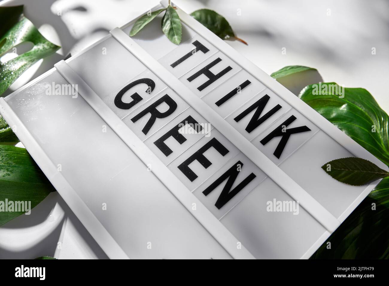 light box with go green words and leaves Stock Photo - Alamy