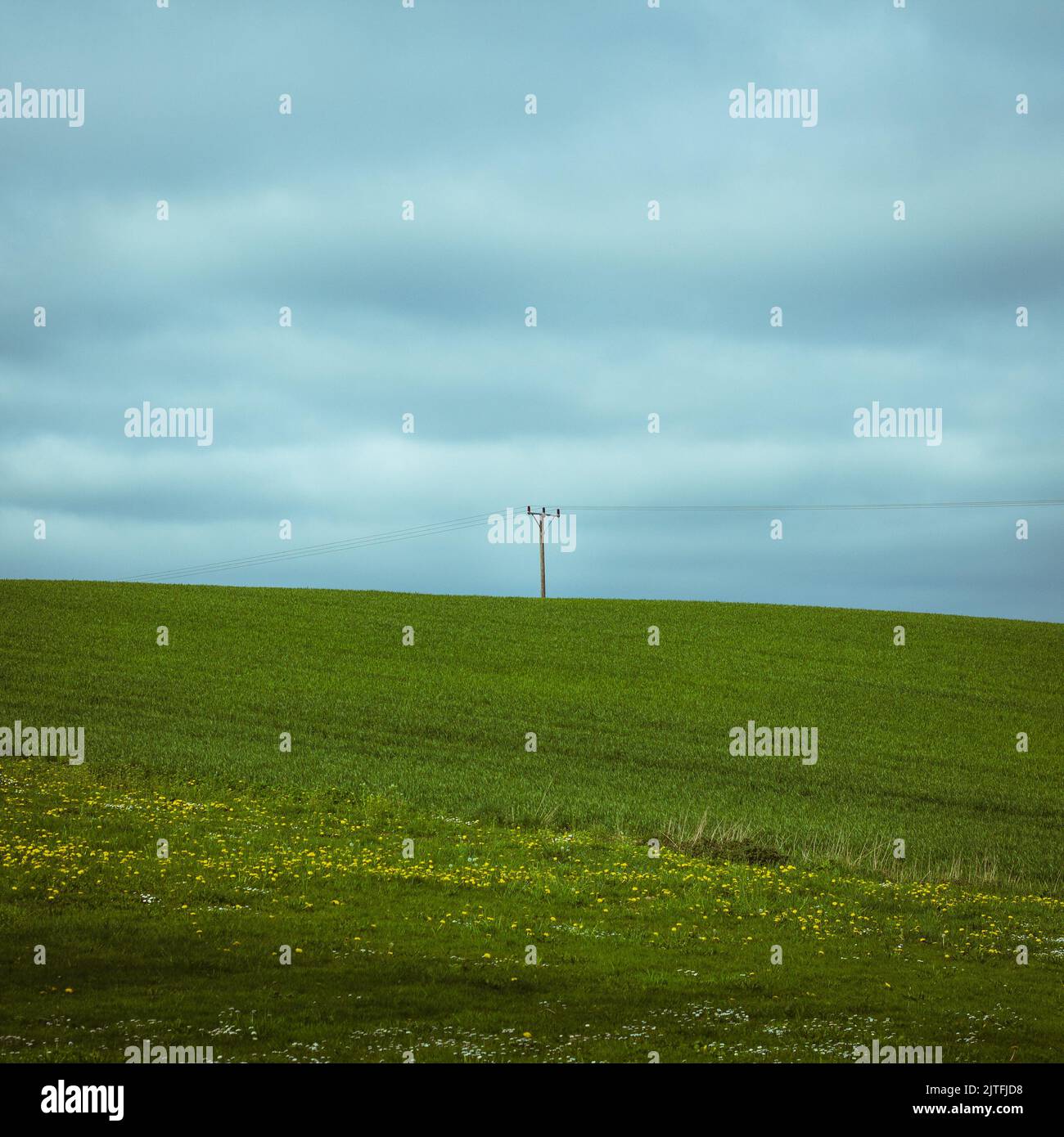 Single power line in green hill fields in Skåne (Scania) Sweedn Stock ...