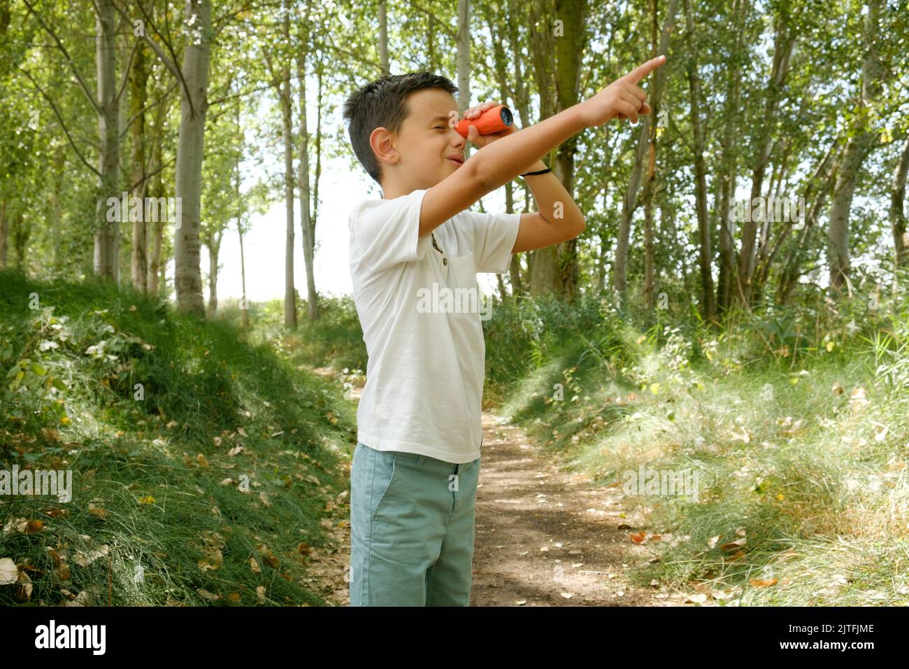 child observes birds with binoculars in the wild. birdwatching in ...