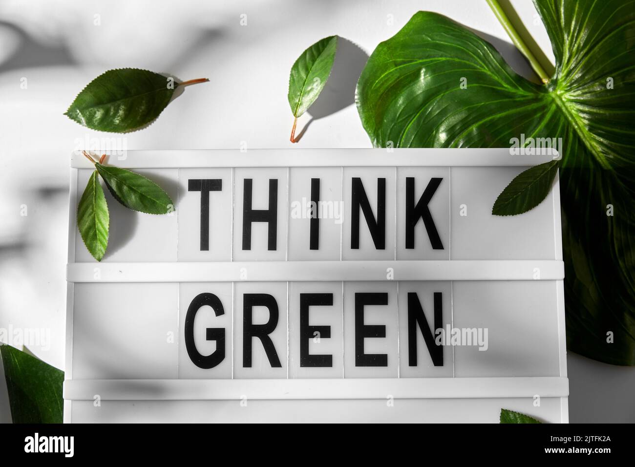 light box with go green words and leaves Stock Photo - Alamy