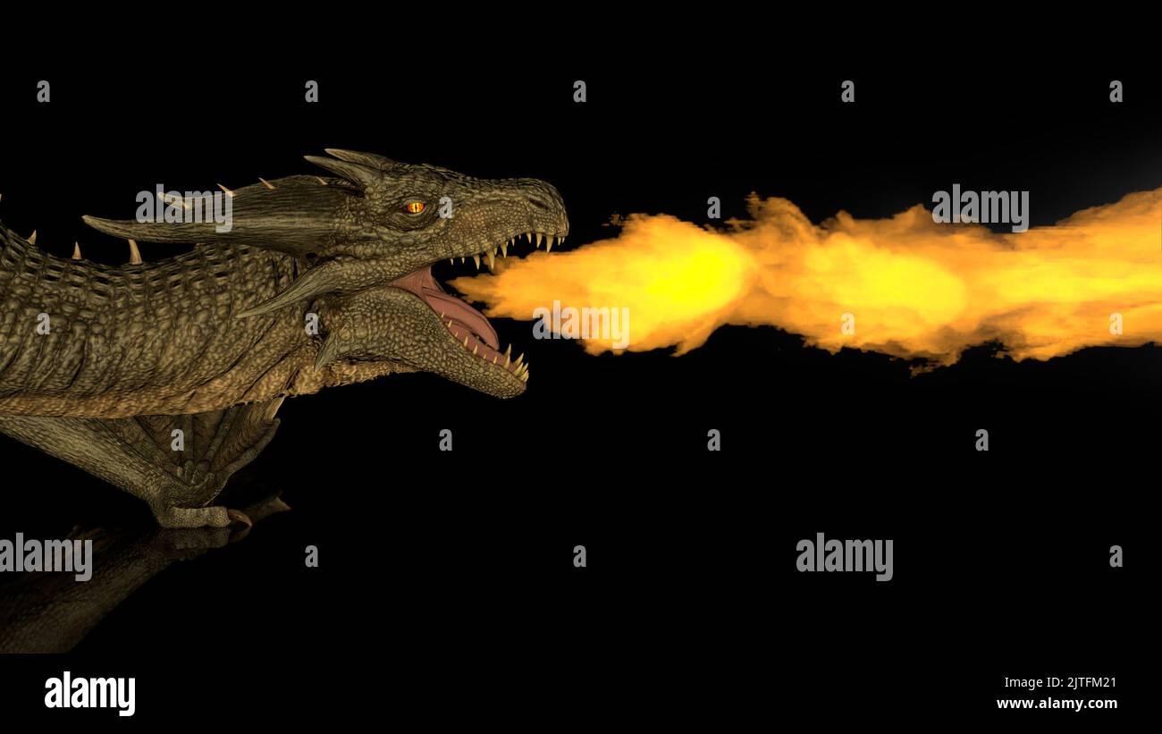 Realistic dragon breathes fire on a black background on a reflective ...