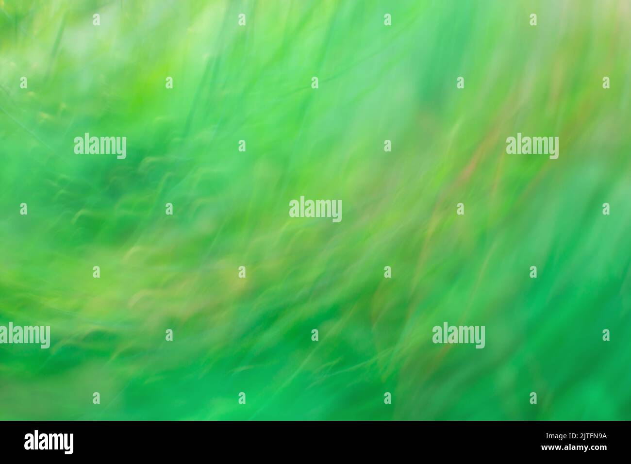 Green art blurred bokeh sparks flying background with motion effect ...