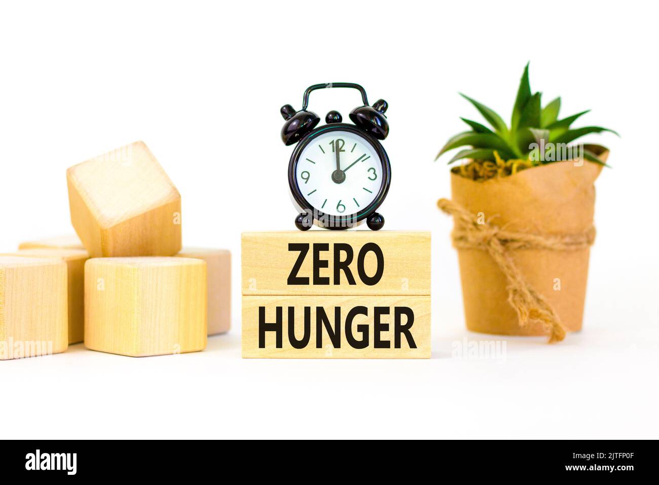 Zero hunger symbol. Concept words Zero hunger on wooden blocks on a beautiful white table white ...