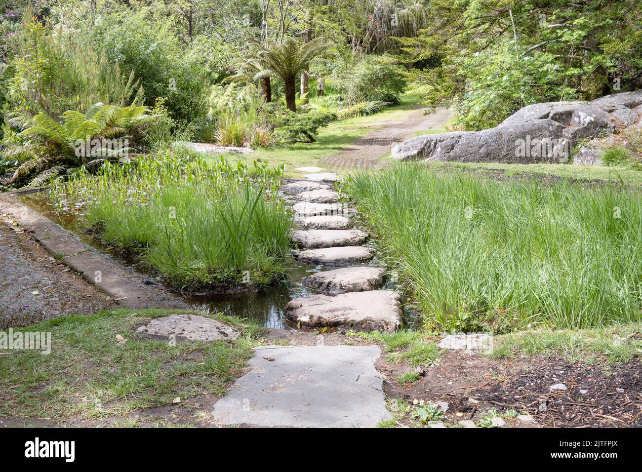 Footpath and stepping stones in the format garden on Garinish Island ...