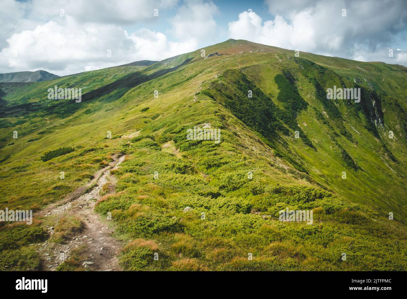Carpathian mountain trekking trail to green hill top, fluffy clouds in ...