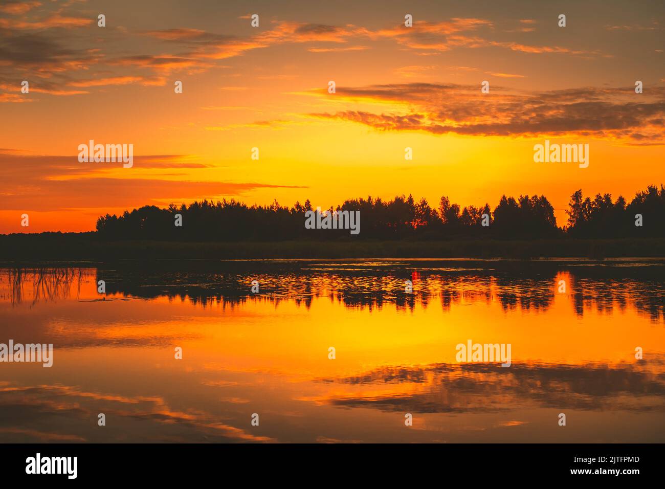 Bright orange sunset over lake, golden clouds and silhouette forest ...