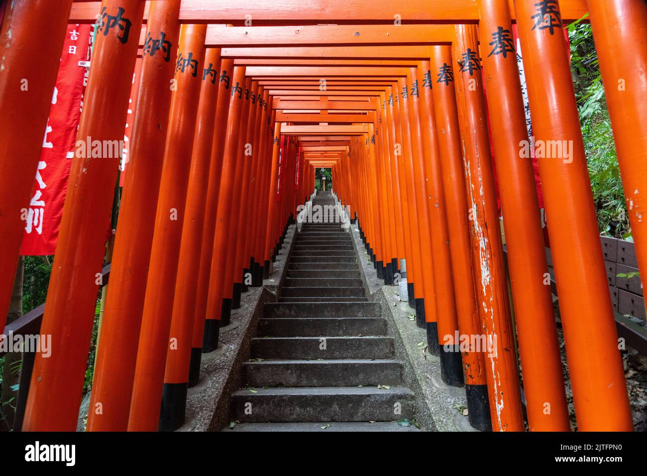 A vivid tunnel of red Torii gates line the stone stairs leading to the ...