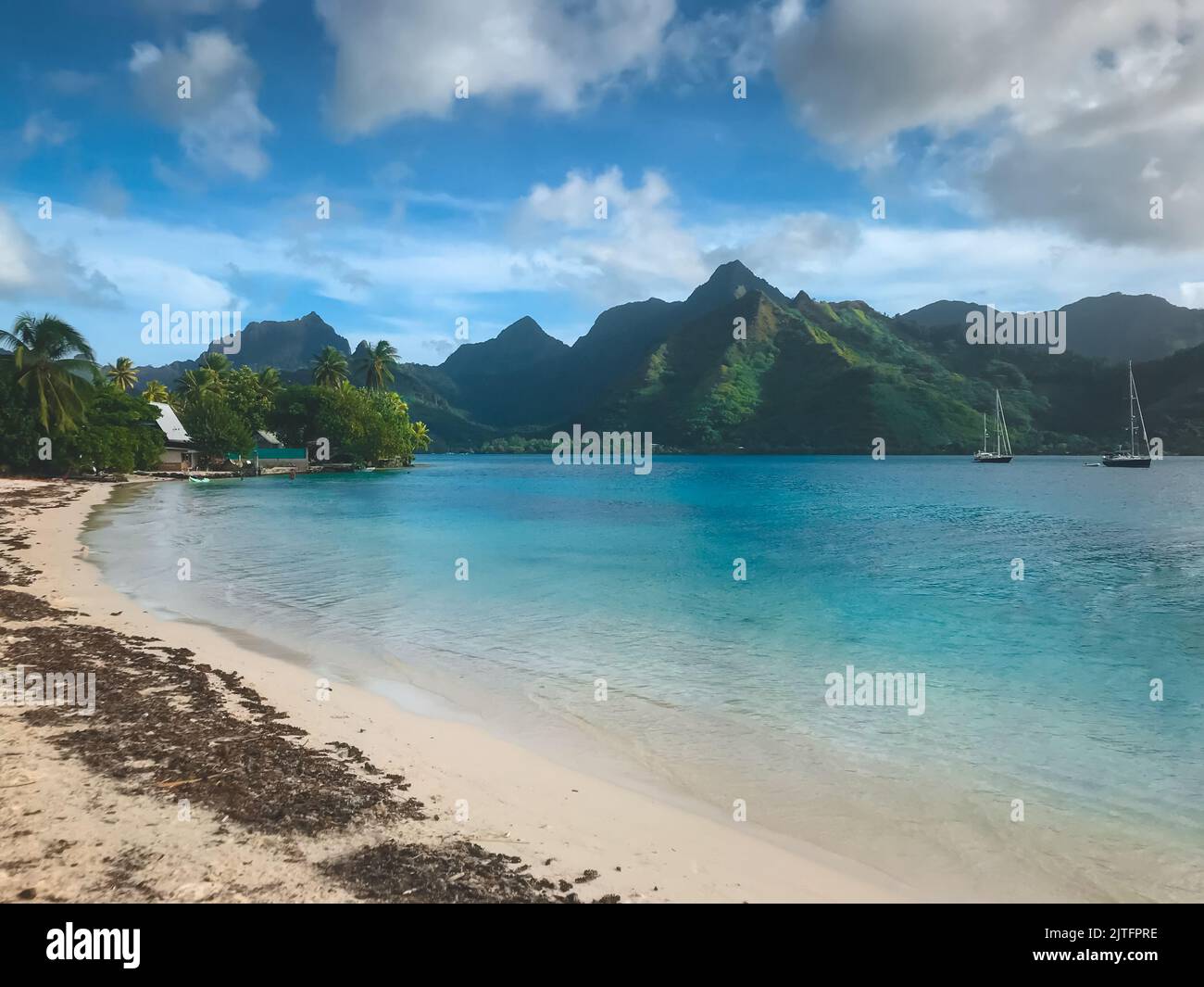 Tropical island beach, Moorea, French Polynesia. Crystal water sea bay, white sand beach, green ...