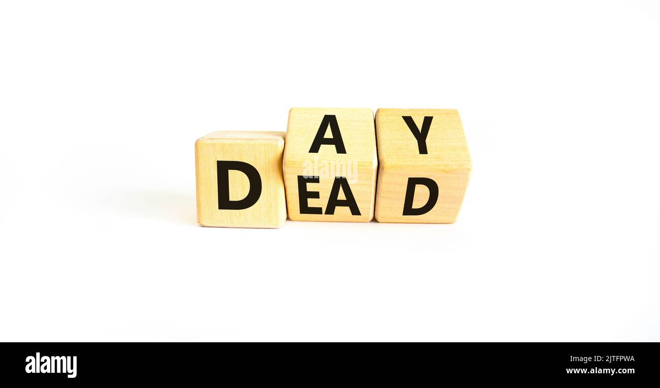 Day of the dead symbol. Concept words Day of the dead. Beautiful white ...