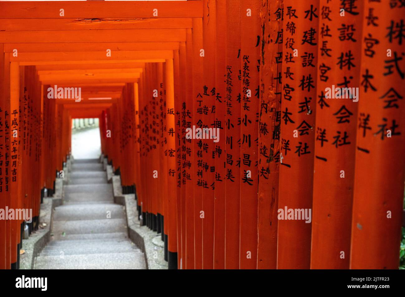 A vivid tunnel of red Torii gates line the stone stairs leading to the ...