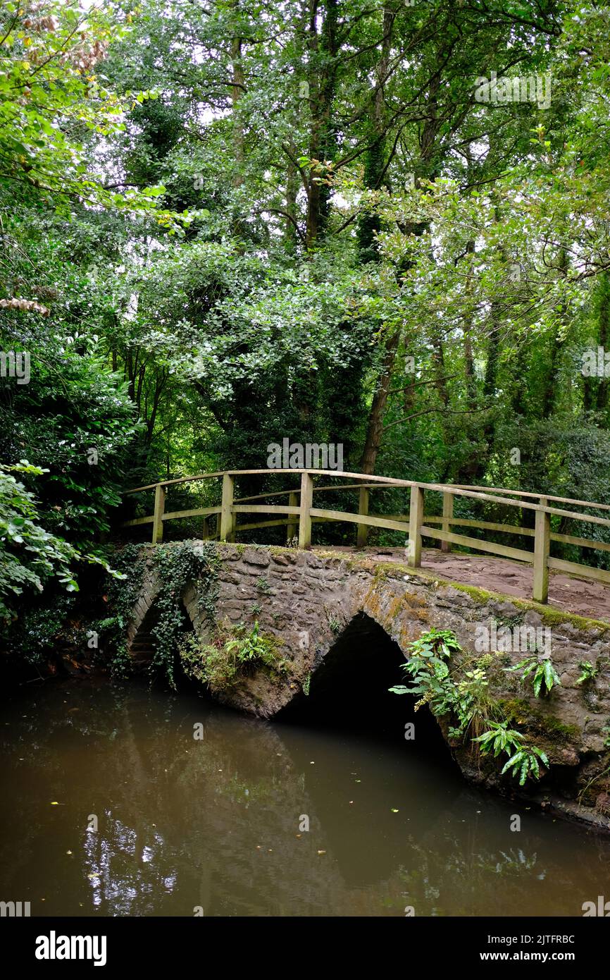 Ancient Crickback bridge in Chew Magna, Somerset Stock Photo - Alamy