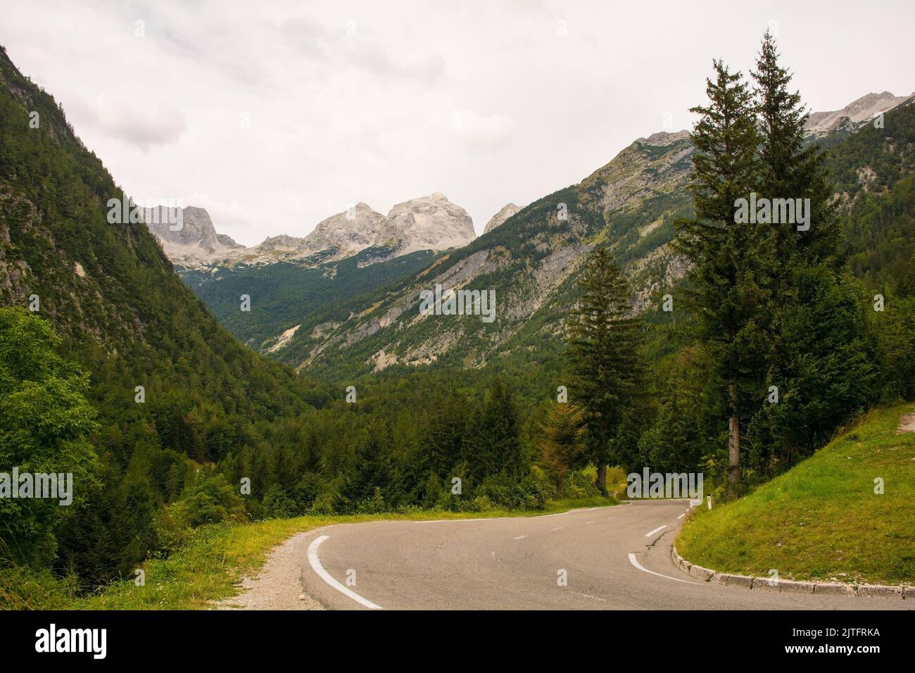 The Alpine landscape near Trenta in the Julian Alps, north west ...