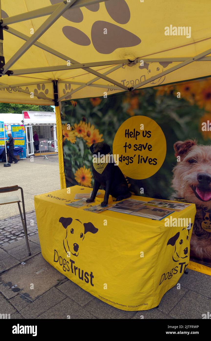 How Many Dogs Have Dogs Trust Saved
