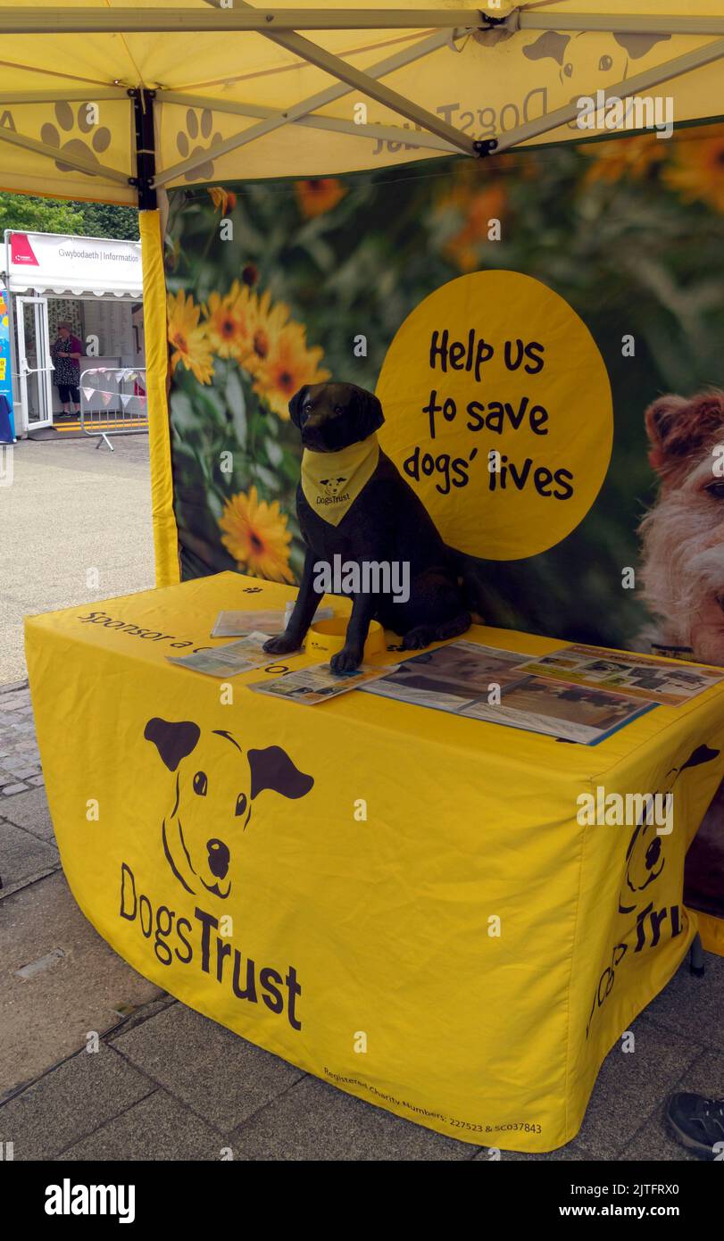 Charity stand at festival hi-res stock photography and images - Alamy