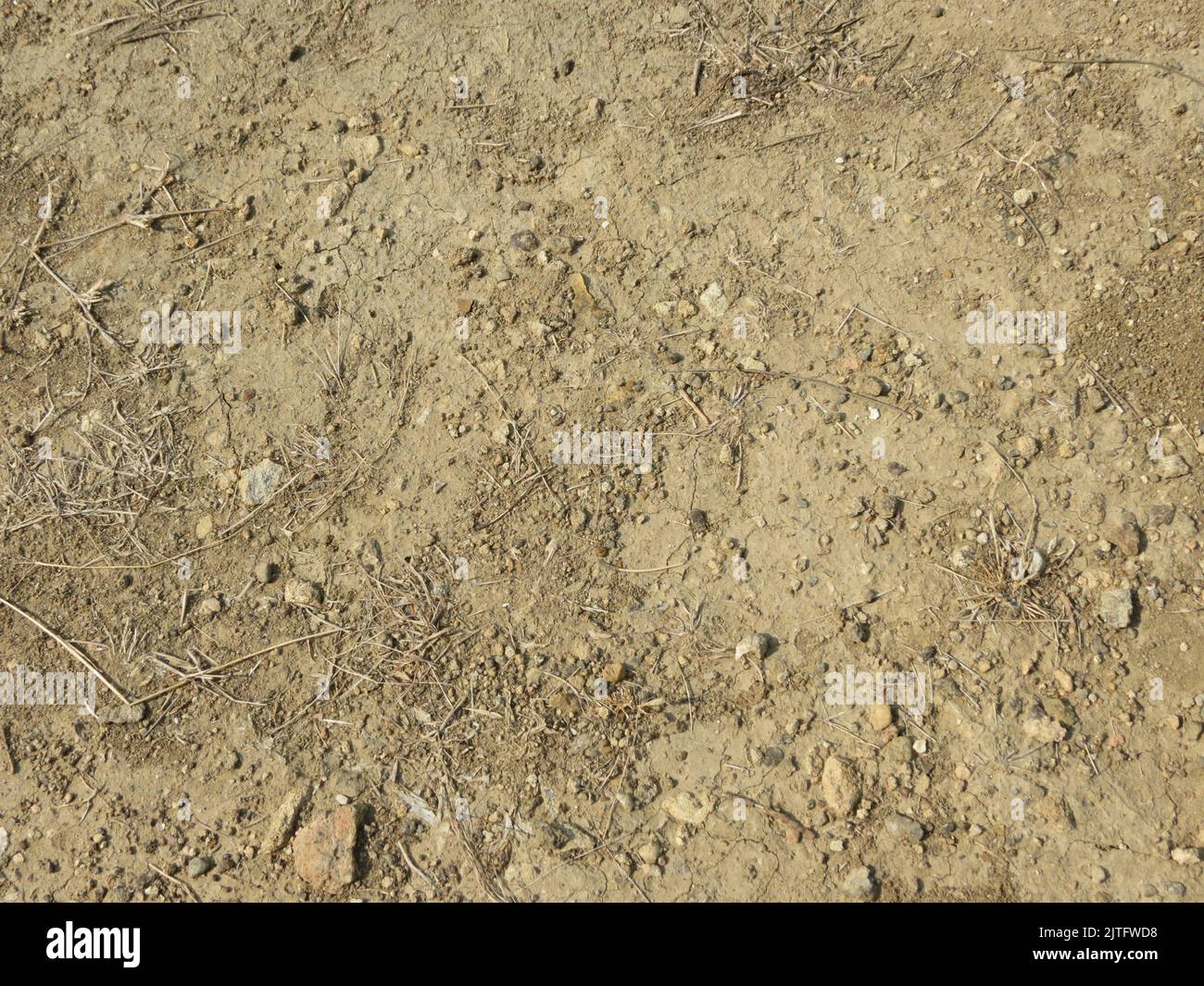 A top view of rocky soil Stock Photo - Alamy