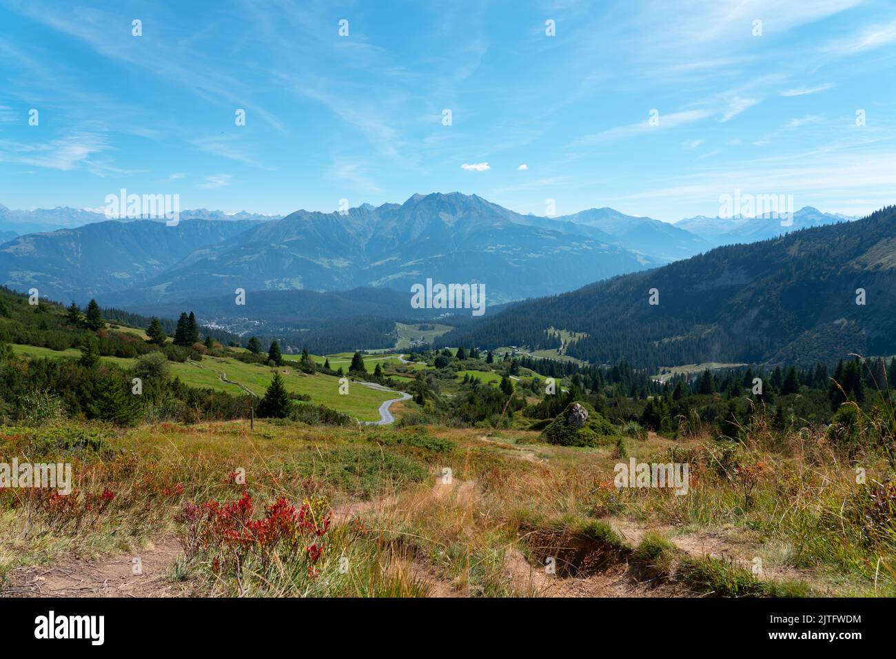 A beautiful country landscape with forested mountains in Flims ...