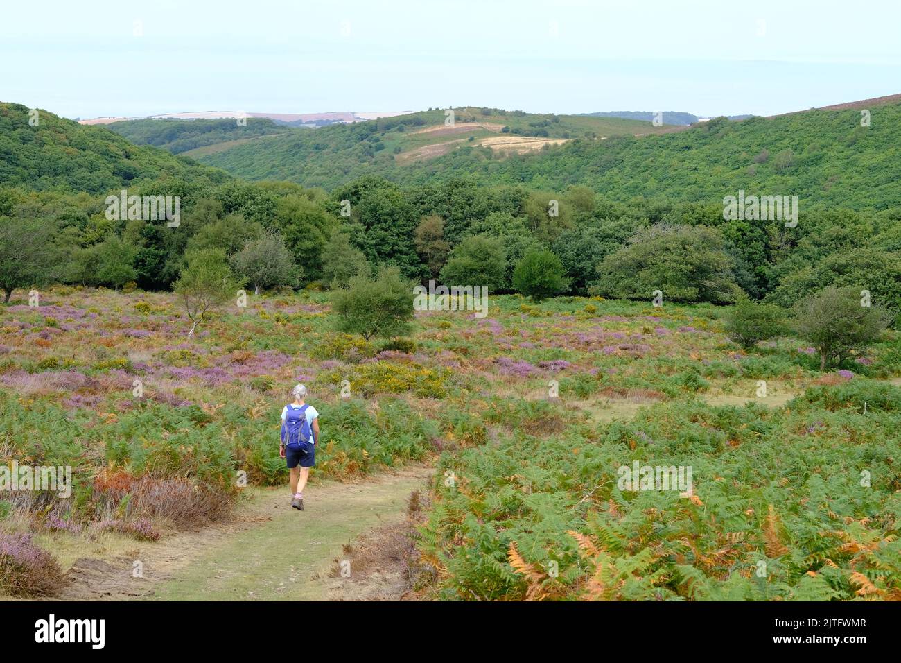 Holford hi-res stock photography and images - Alamy