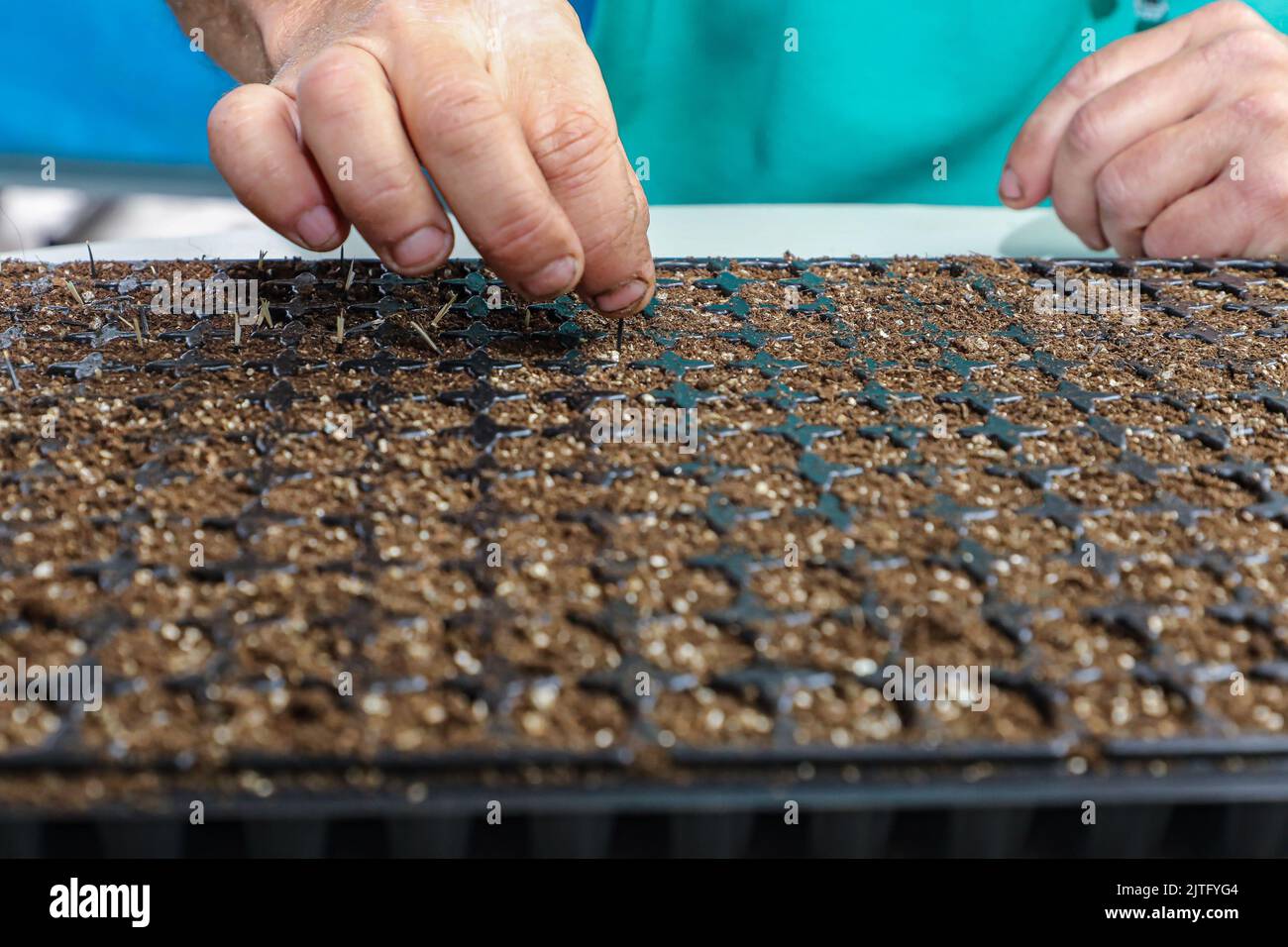 Planting substrate hi-res stock photography and images - Alamy