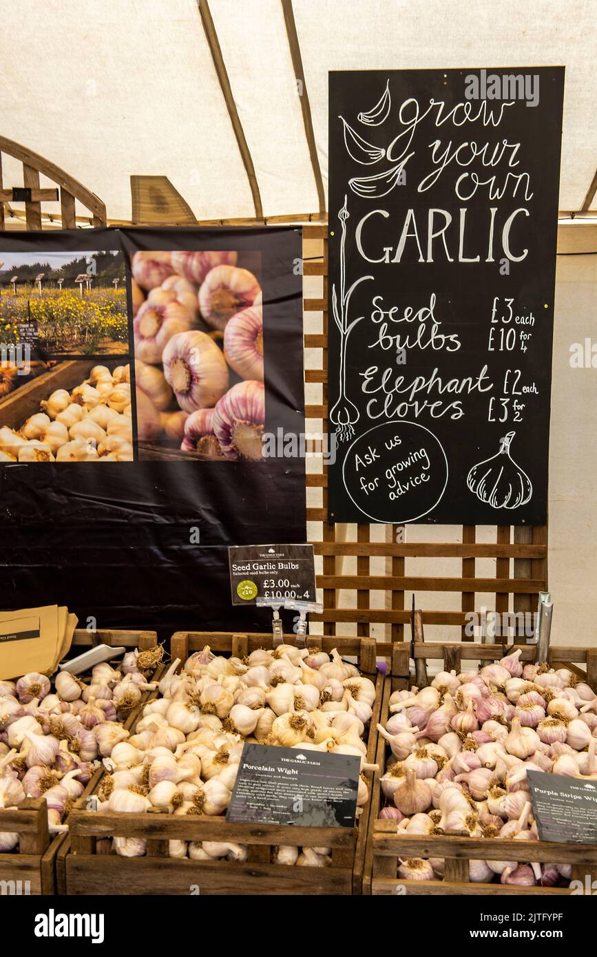 an assortment of different types of garlic on display at the annual ...