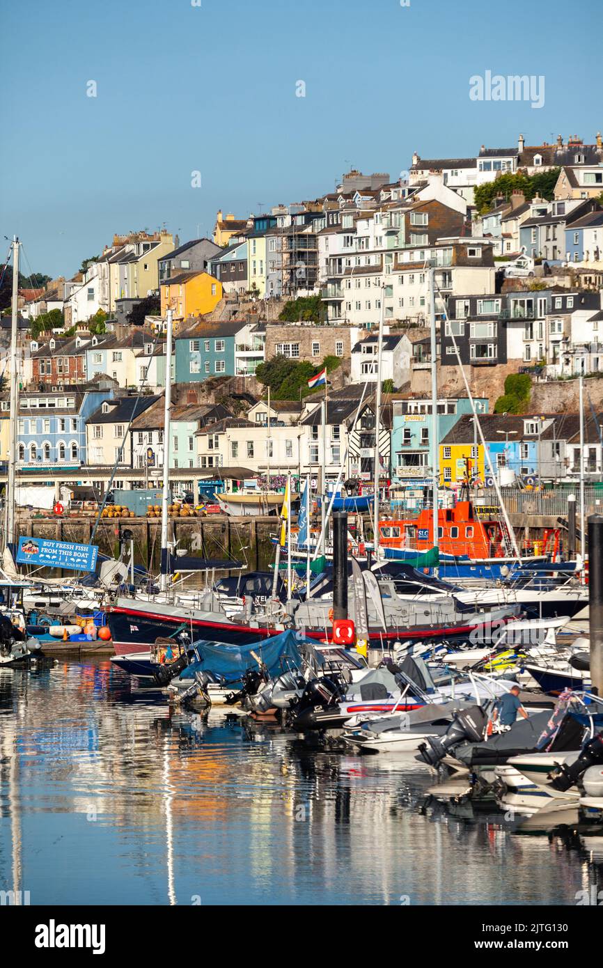 Yachts moored in Brixham Marina, Devon, England Stock Photo - Alamy