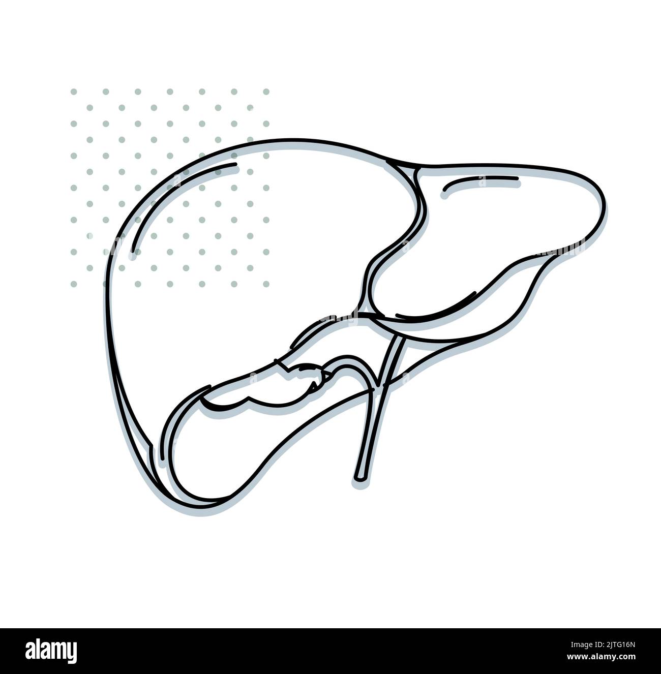 Liver cell Cut Out Stock Images & Pictures - Alamy