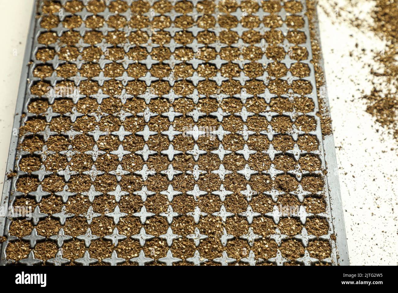 Plastic tray used for planting seedlings of flowers or vegetables, with ...